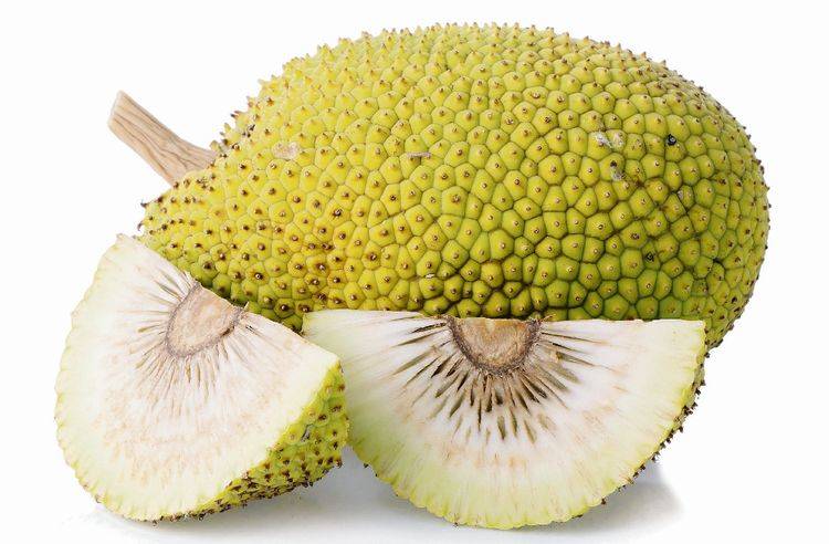 La pana y sus usos en la cocina | Sal.pr